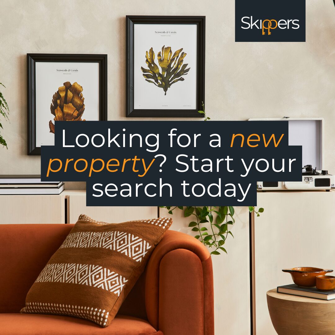 Properties to rent | Skippers